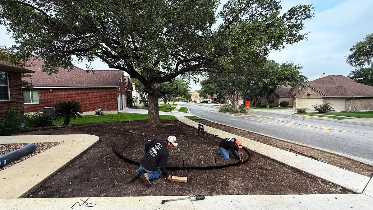 How to Choose the Right Landscaping Company in San Antonio