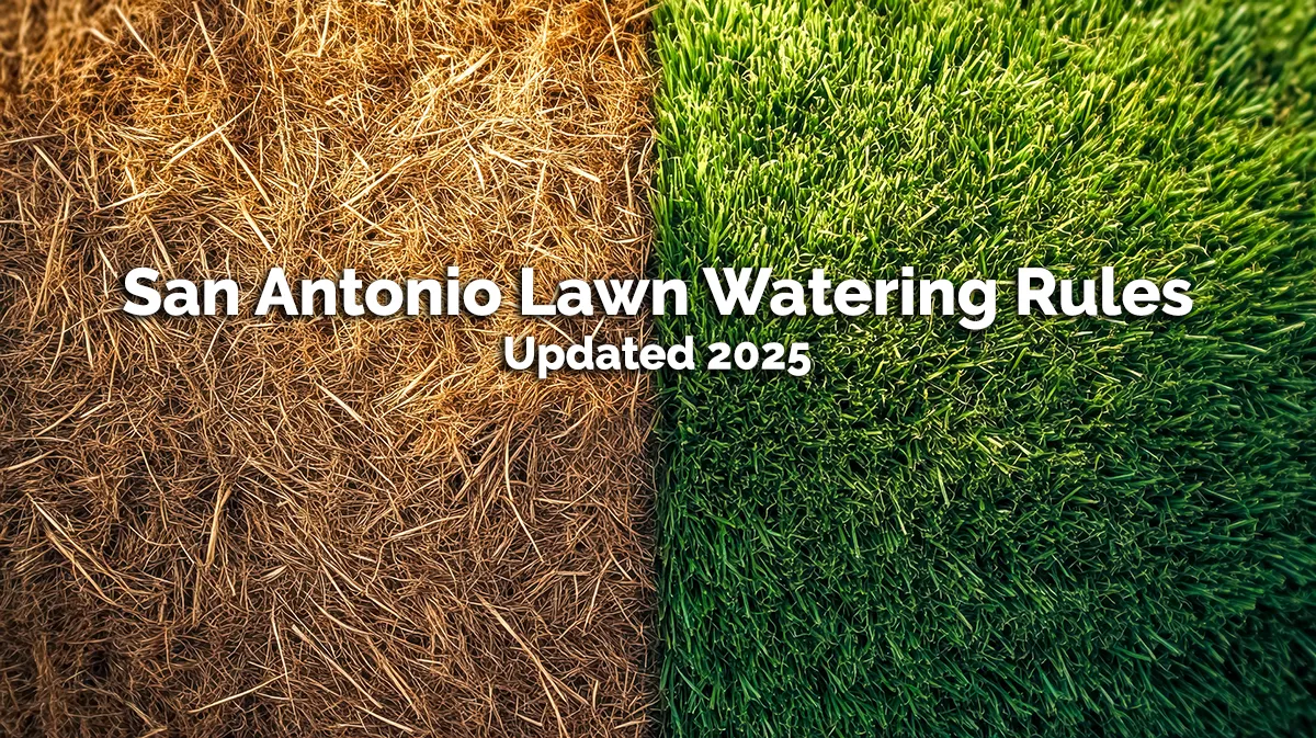 When Can I Water My Lawn in San Antonio? (2025 SAWS Rules)